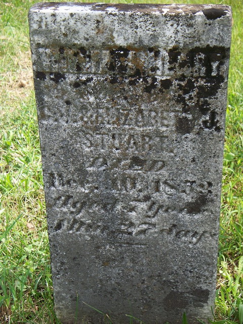 Chapman Johnson Stuart - Elizabeth J. Litle